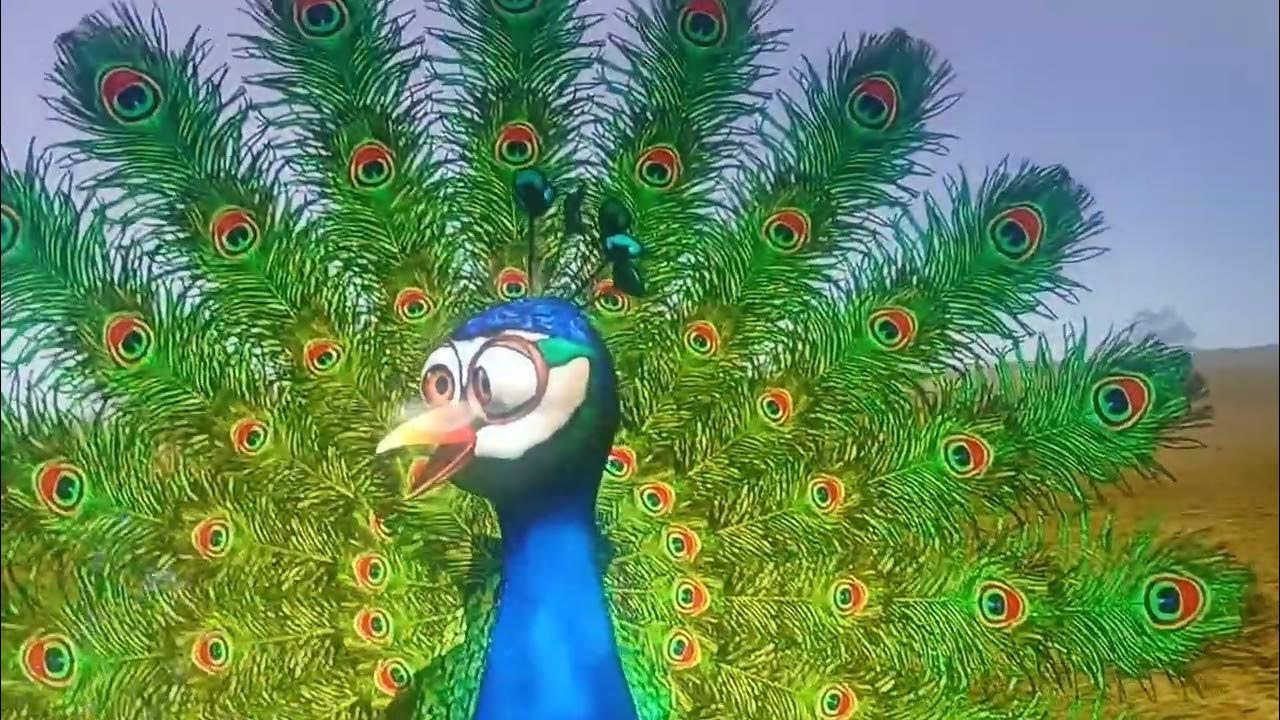 el pavo y la pava la granja de zenón - YouTube