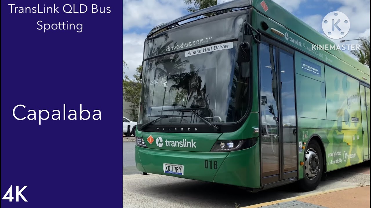 TransLink QLD Bus Spotting - Capalaba - YouTube