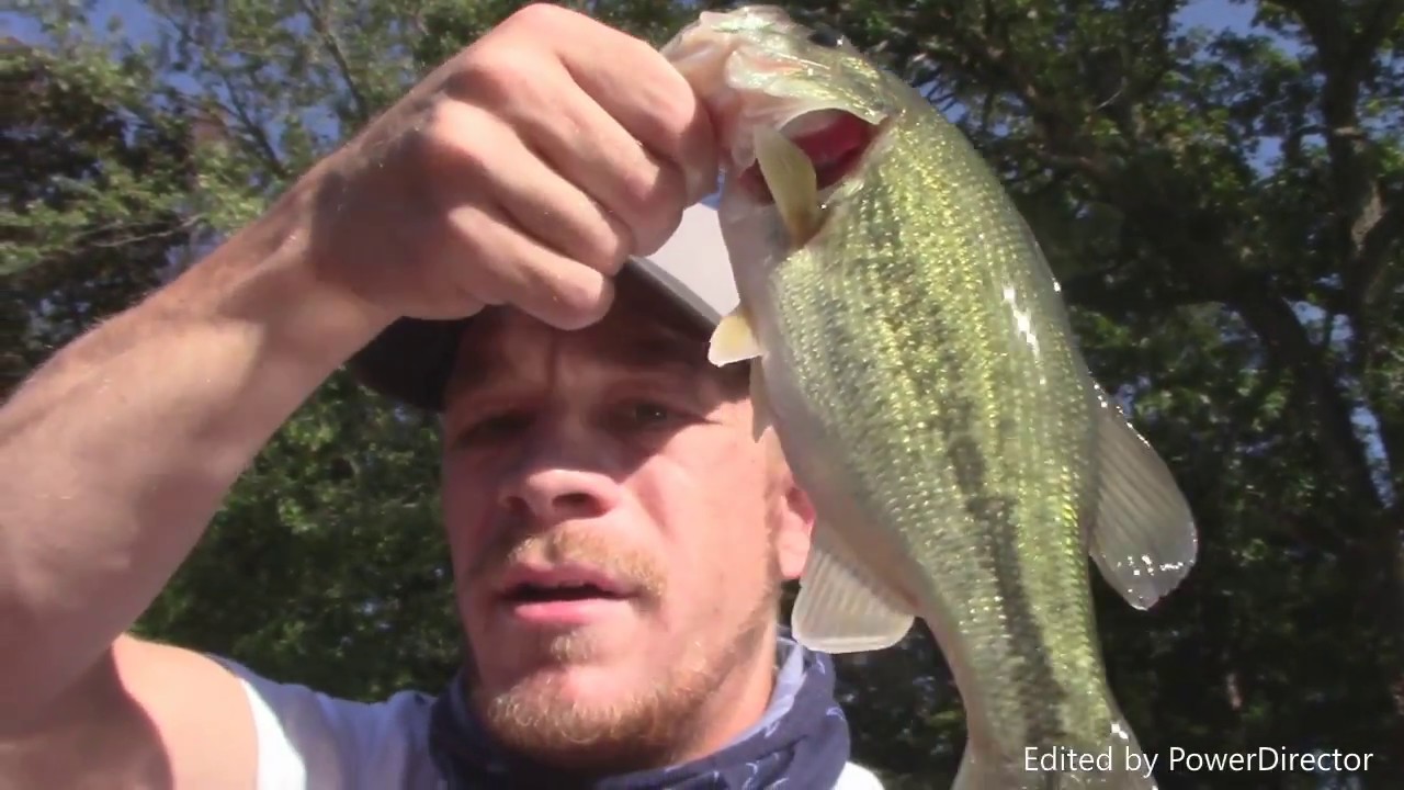 Fishing Spring Grove IL on Lifetime Daylite Kayak - YouTube