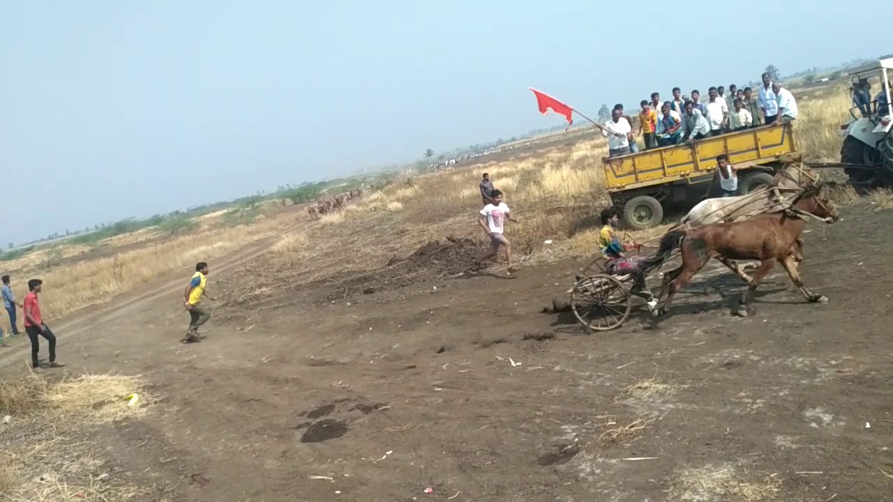 Ghoda gadi shariyat horse race (horses race) - YouTube