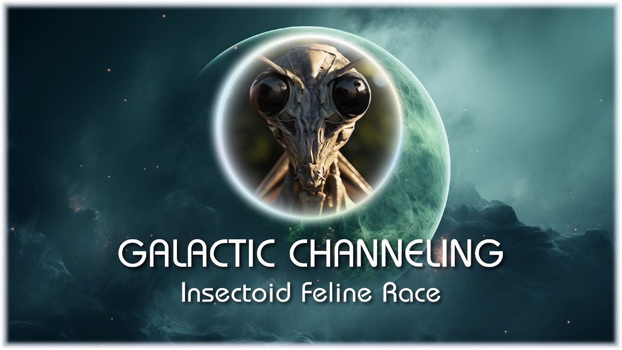 Insectoid Feline Race ? - Galactic Weekly Channeling Series. - YouTube