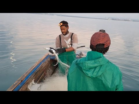 CATCHING MACHETE FISH IN 🇯🇲🇯🇲🇯🇲 - YouTube
