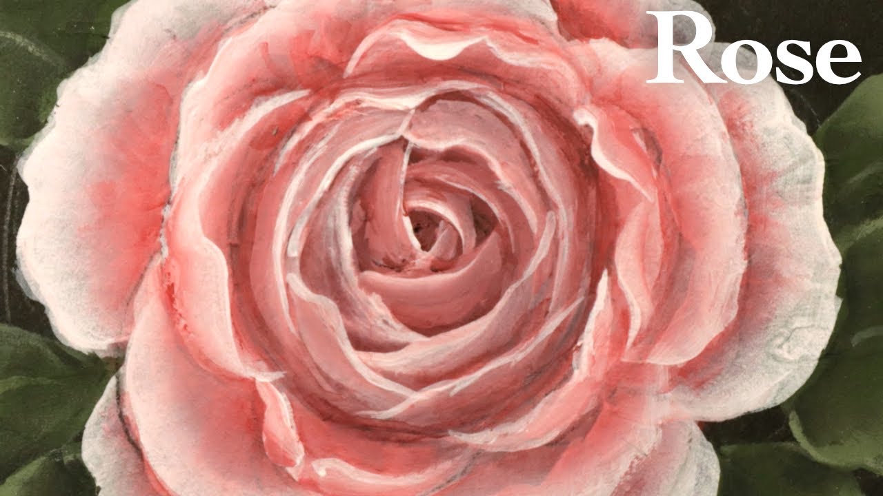 Rose flower painting tutorial | Pink rose | One stroke - YouTube