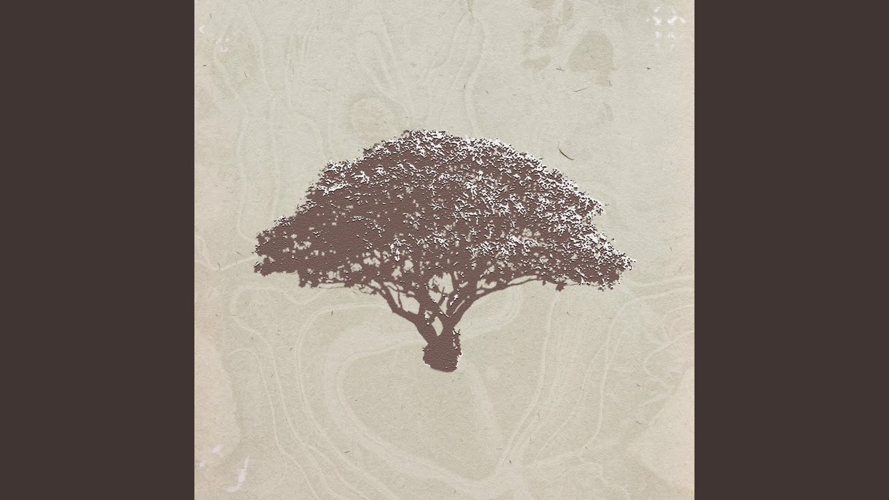 Tree Channel - YouTube