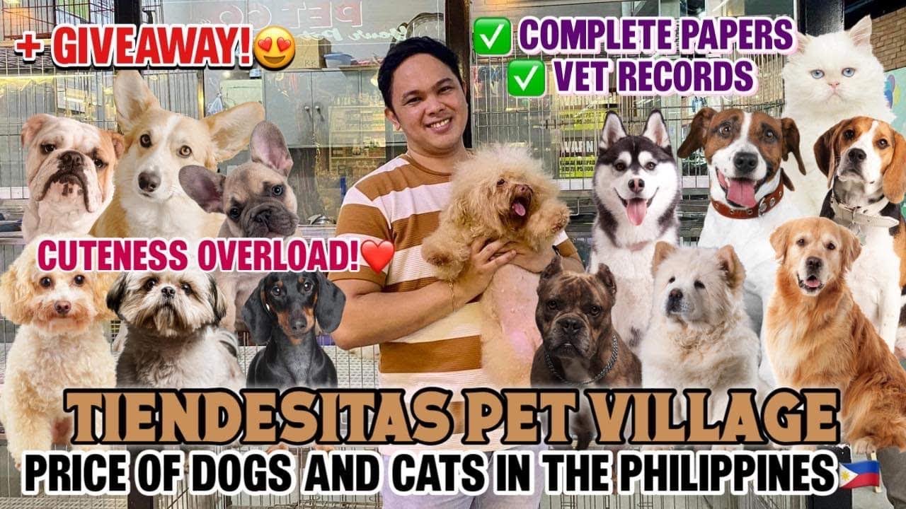 UPDATED PET PRICE LIST IN TIENDESITAS PET VILLAGE!🐶🐱🐾100% LEGIT PURE ...