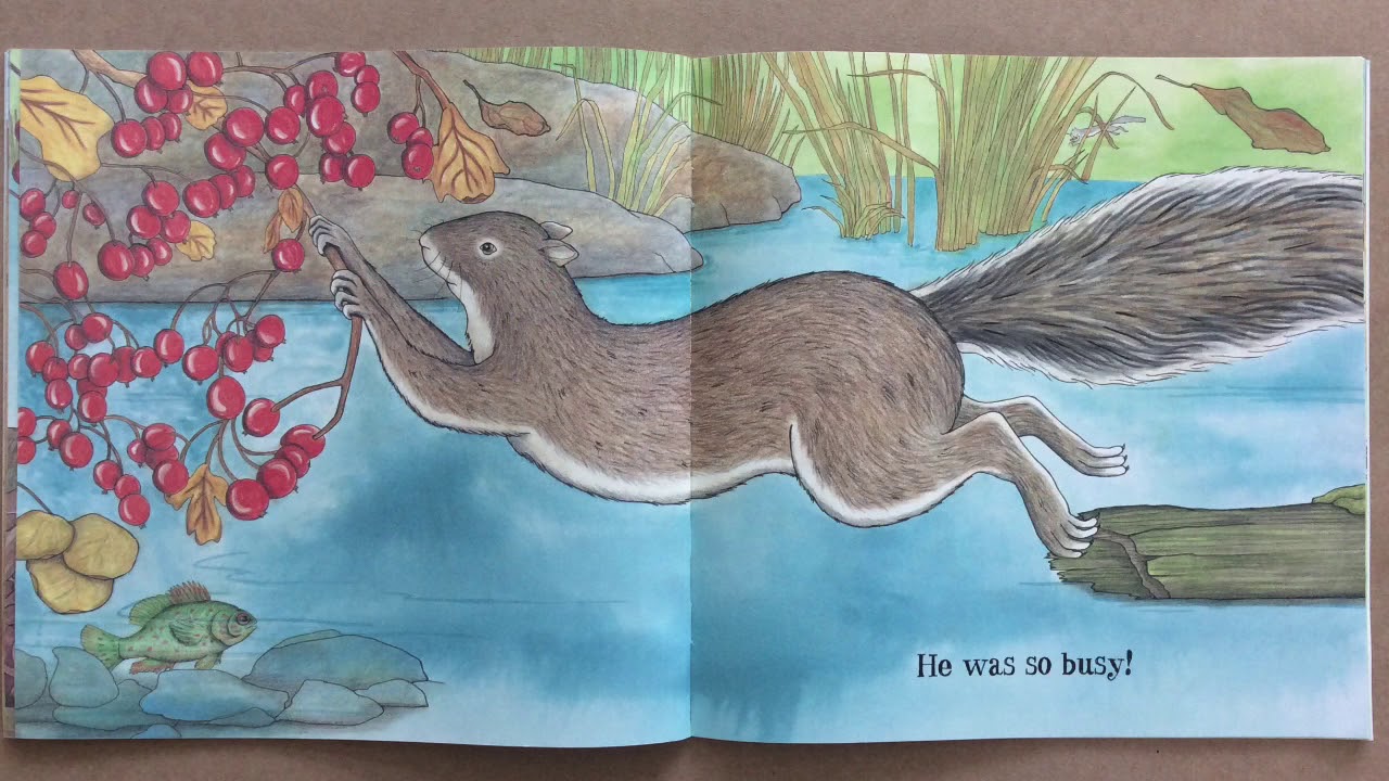 The Busy Squirrel - YouTube