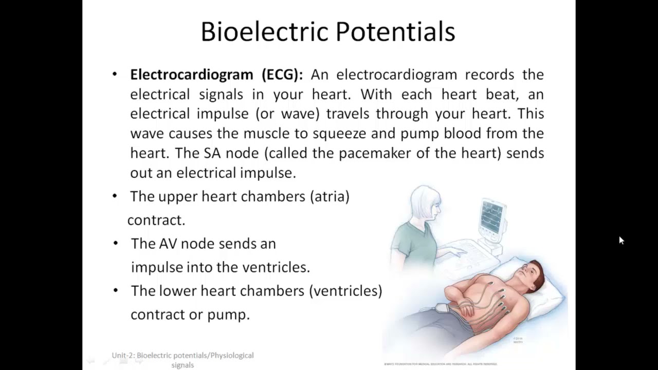 L2 2 Bioelectric potentials - YouTube