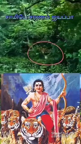 18 December 2024 - YouTube