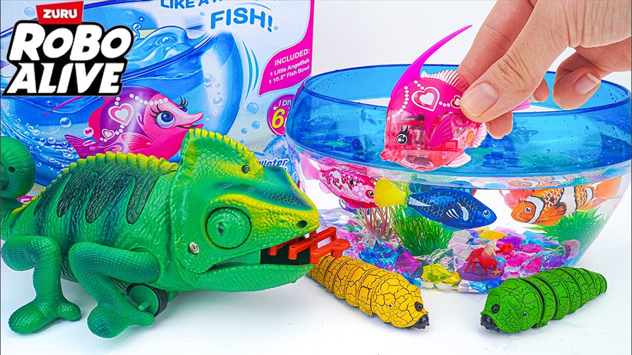 [😽toy asmr😽] ZURU Robo Alive Robo Swimming Fish & Robo Chameleon ...