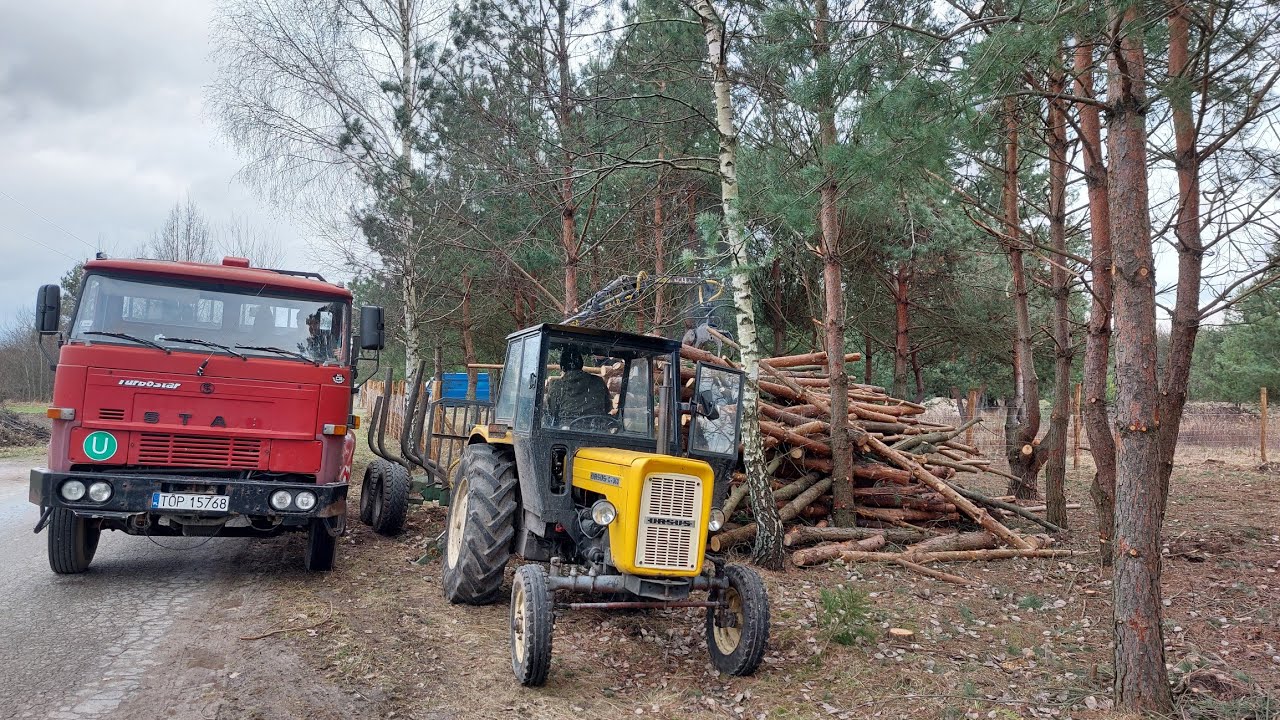 🚜🚜 Ursus C360 tuning na HDS i rozładunek 10 ton drewna sosny 🌲🪵🪵 - YouTube