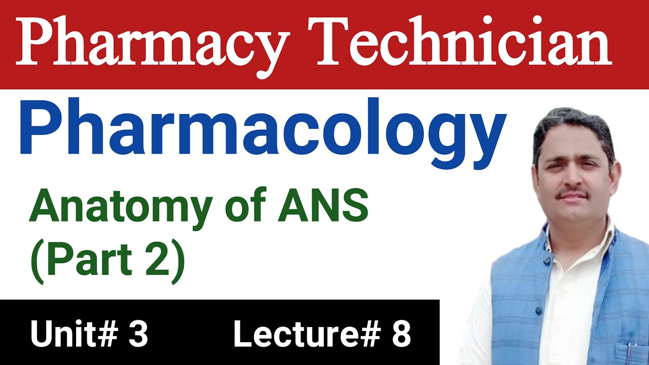 Anatomy of ANS | Pharmacology | B category lectures - YouTube