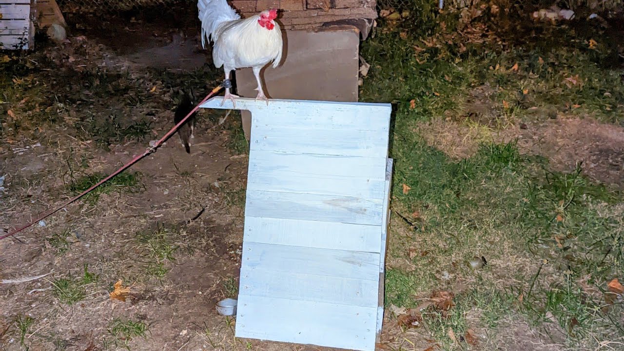 How to make Gamefowl teepees using pallets. - YouTube