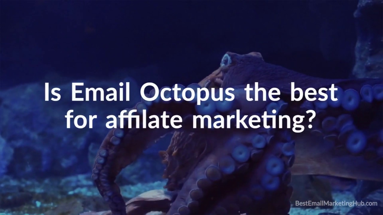 Is Email Octopus the Best for Affiliate Marketing? Free Trial Below ...