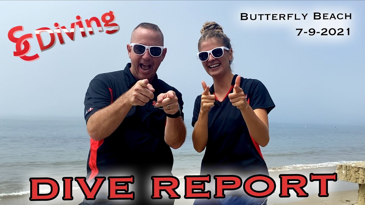SCDiving - Dive Report - Butterfly Beach scuba - YouTube
