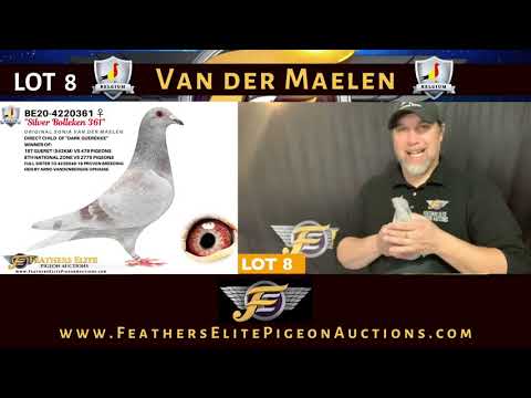 LOT 8 SONIA VAN DER MAELEN (2021)