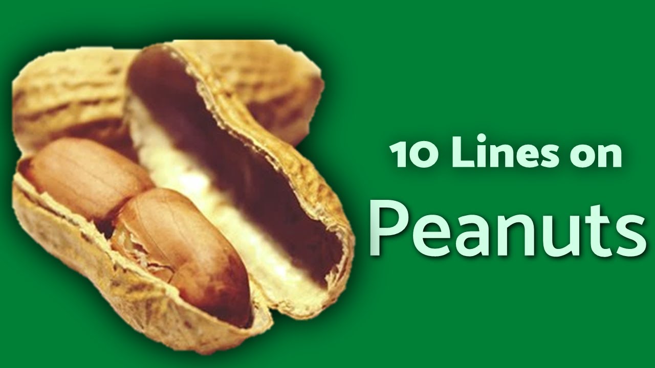 Peanuts - 10 Lines on Peanuts | TeachMeYT - YouTube