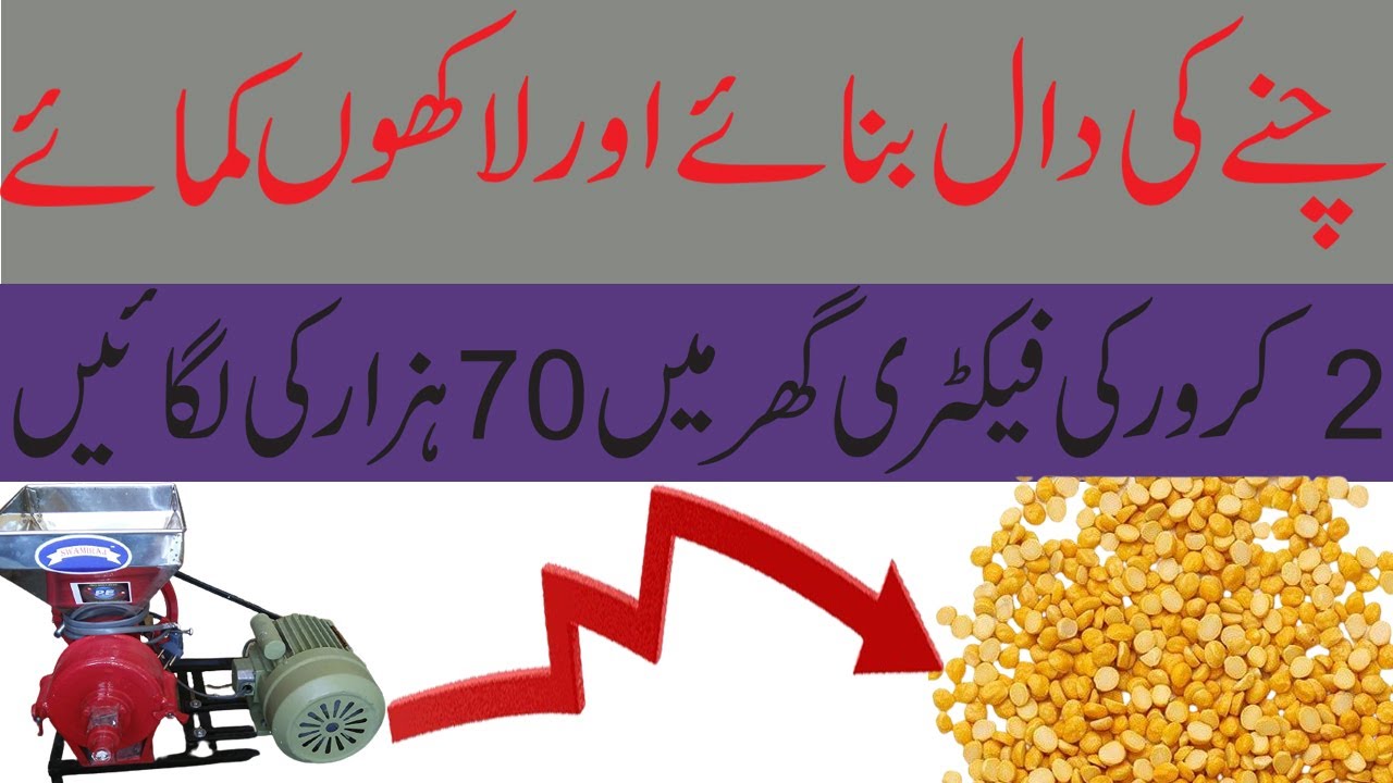 Chana Daal Making Machine Business,Chanay Ki Dal Ka Business,Chane Ki ...