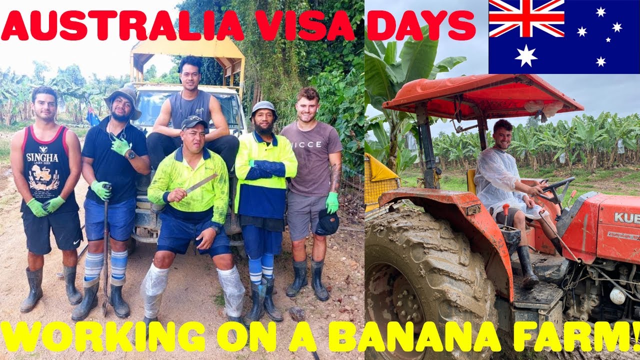 WORKING ON A BANANA FARM IN AUSTRALIA - YouTube
