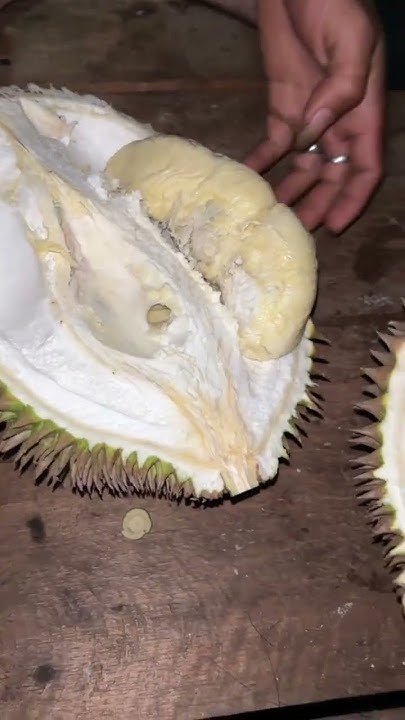begini cara belah buah durian yang benar, buah didalam buah ahhaahha #kehidupandidesa #durian # ...