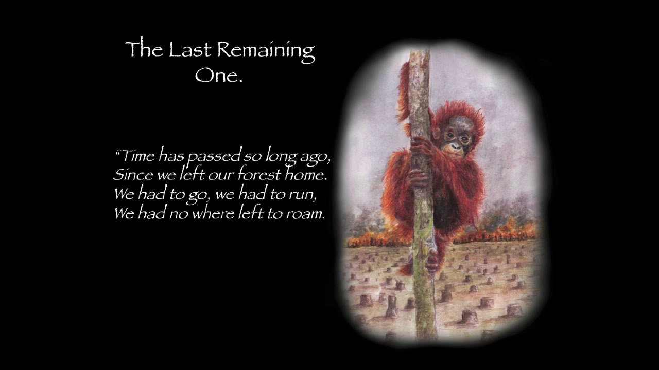 "The Last Remaining One" - presentation by Donna Tutton - YouTube