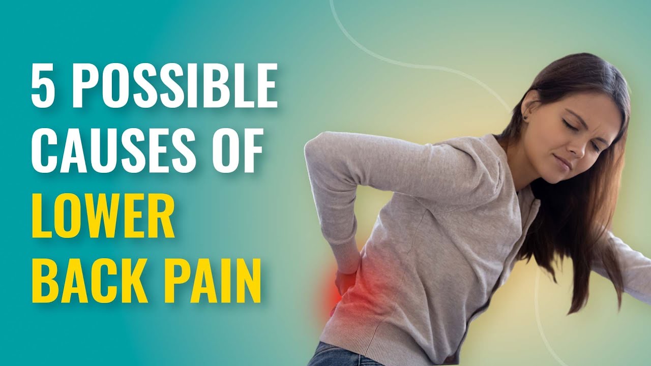 5 Possible Causes of Lower Back Pain | Lower Backache | MFine - YouTube