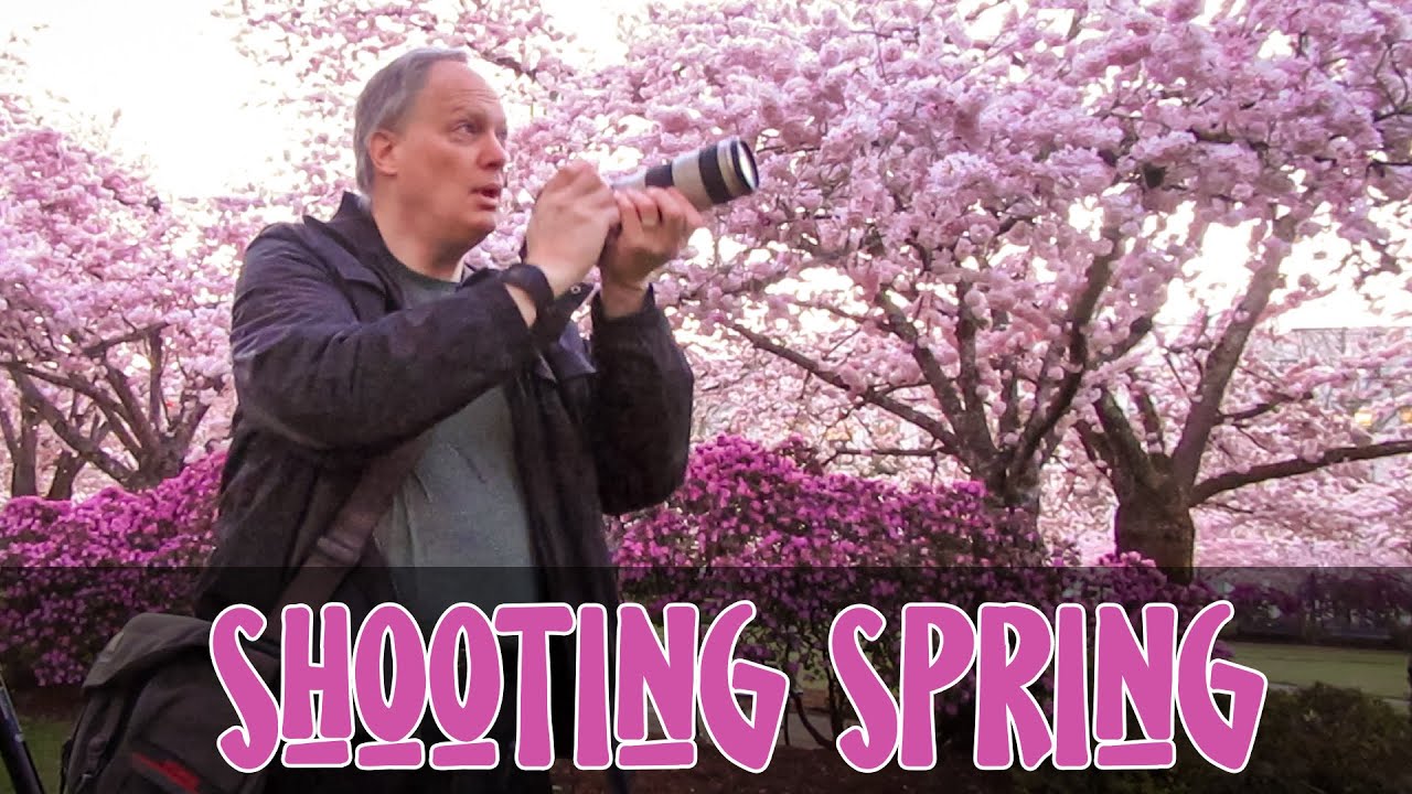 Shooting Spring - Photographing the Cherry Blossoms at the Oregon State ...