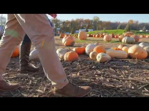 Fun Farm Pumpkin Patch - YouTube