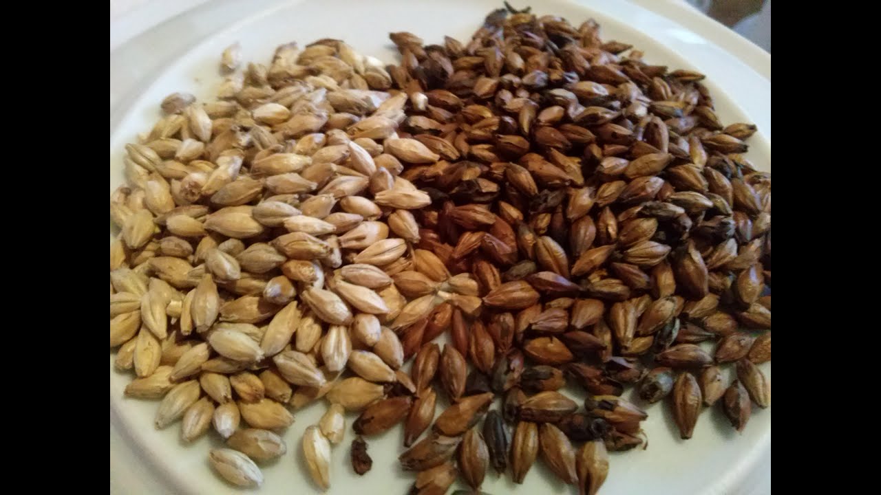 Malto speciale fatto in casa - Specialty malts homemade - YouTube