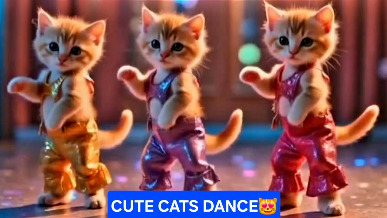 Cute Cats Dancing😻😺😸💃🐾🐾|Cat Videos|#funny#catdance#Supercat#cat# ...