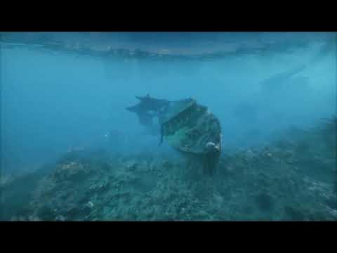 Unraveling the Bermuda Triangle Mystery! - YouTube