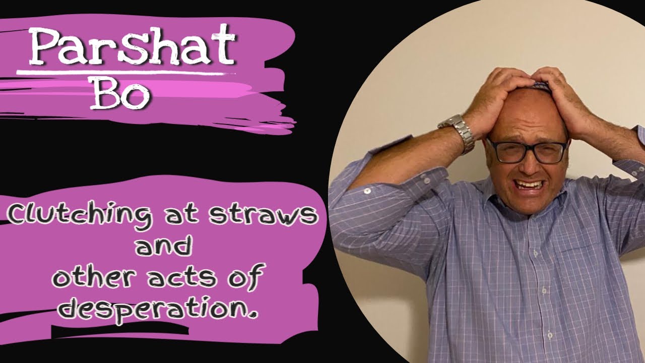 Parshat Bo Clutching At Straws And Other Acts Of Desperation |Bo - YouTube