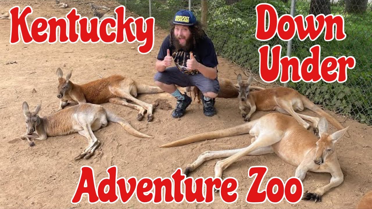 Kentucky Down Under Adventure Zoo | Mammoth Onyx Cave Tour - Full Tour ...