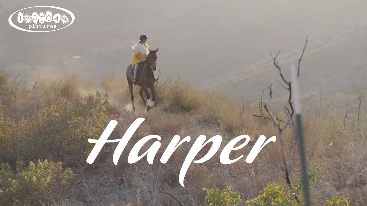 HARPER Official Trailer 2021 Award Winning Drama - YouTube