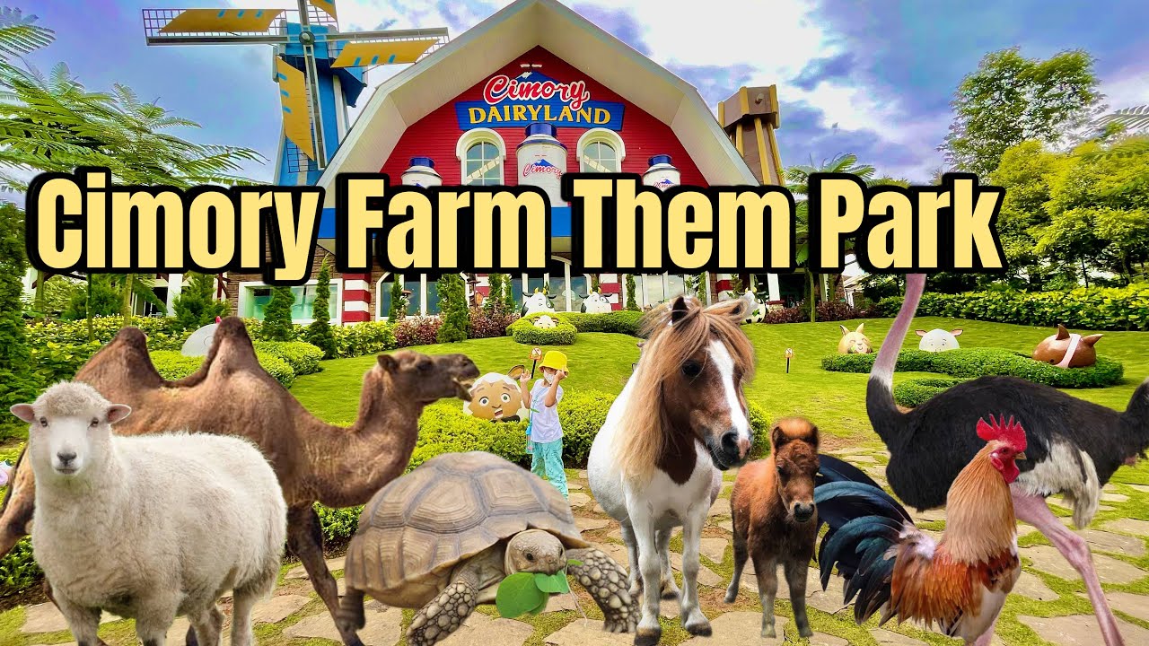 Cimory Farm Them Park | Wisata Puncak Bogor | Cimory Diaryland - YouTube