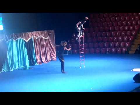 MİLANO SİRKİ AKROBAT VE BAMBILBEE