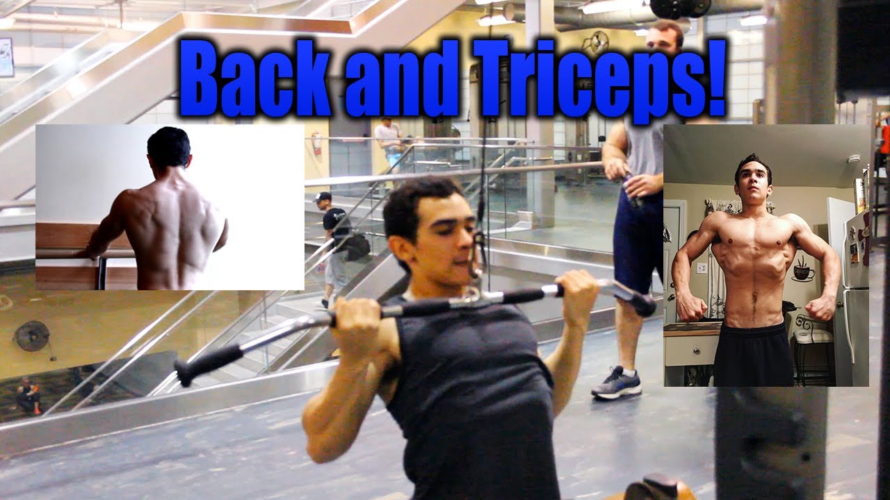 Back and Tricep Workout - YouTube