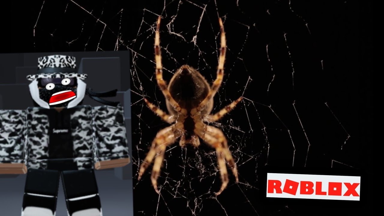 ROBLOX SPIDER..... - YouTube