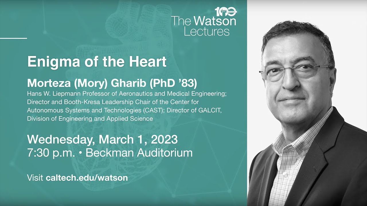 Enigma of the Heart - Morteza (Mory) Gharib - YouTube