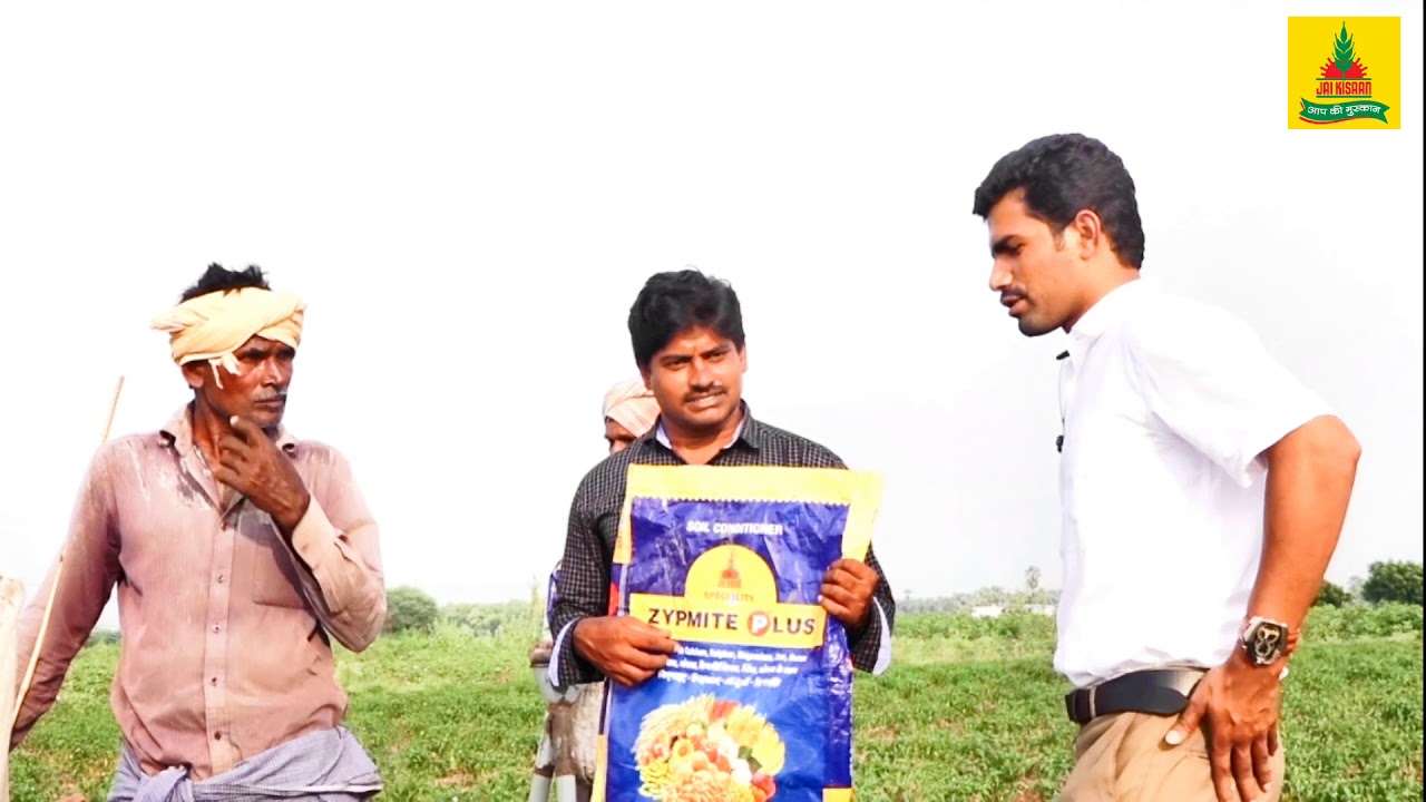 Zypmite Plus on Chilli Crop - YouTube