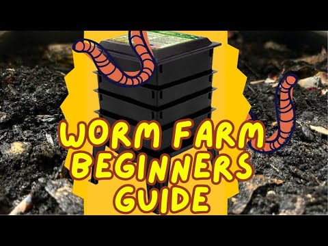 Worm Factory 360 | Unboxing & Setup - YouTube