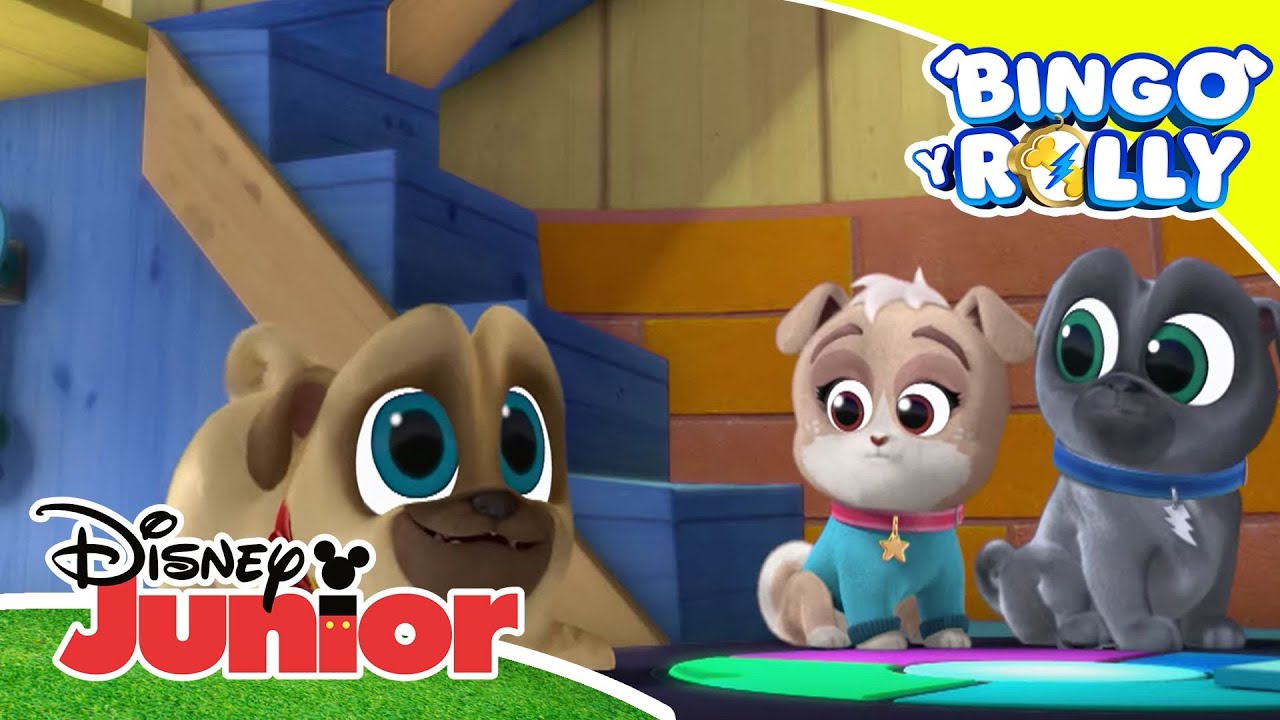 Bingo y Rolly: A jugar con Bingo y Rolly. Guardería de cachorros - El ...