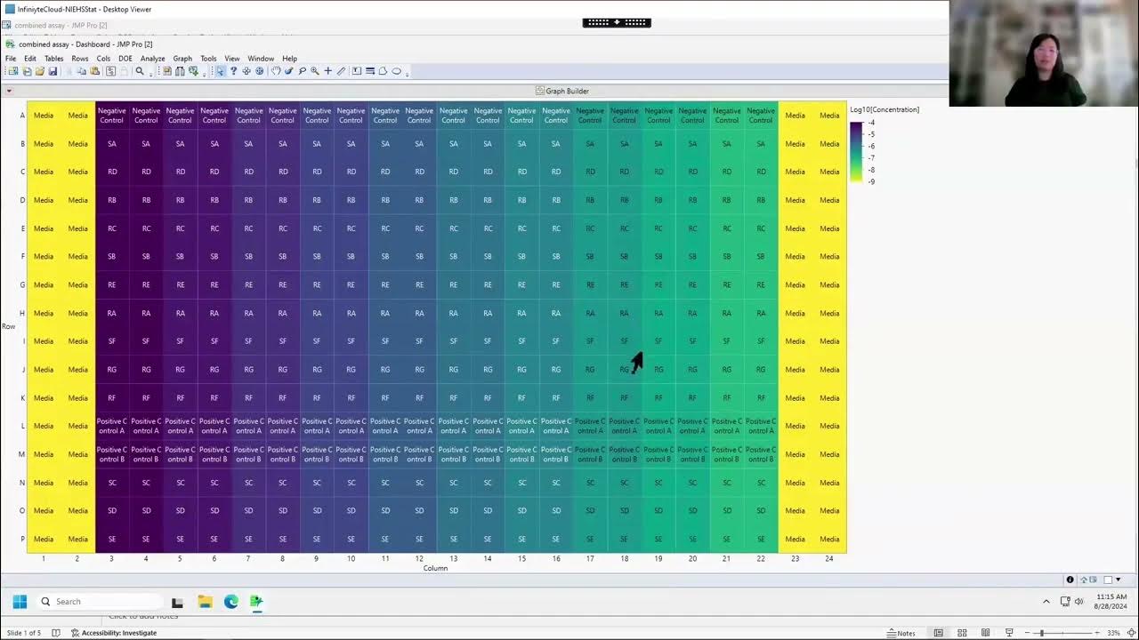 Plate Map Dashboard Unveiling Data Patterns with Multiview ...