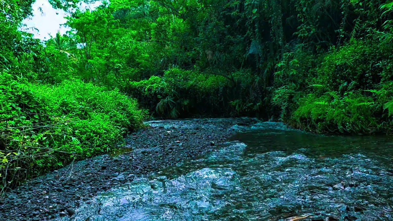 Relaxing River Sound Guaranteed your stress will disappear and your ...