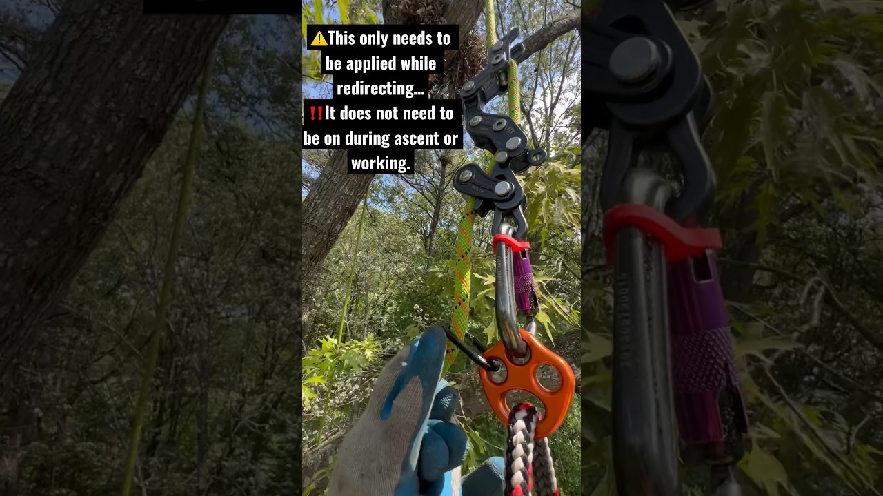 ROPE RUNNER PRO TRICK 🌳#shortsyoutube #work #trees - YouTube