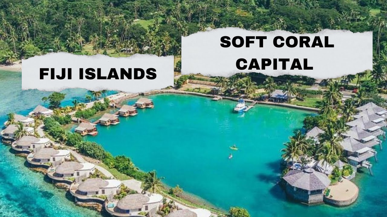Discover Fiji Islands: A Tropical Paradise Adventure | Travel ...