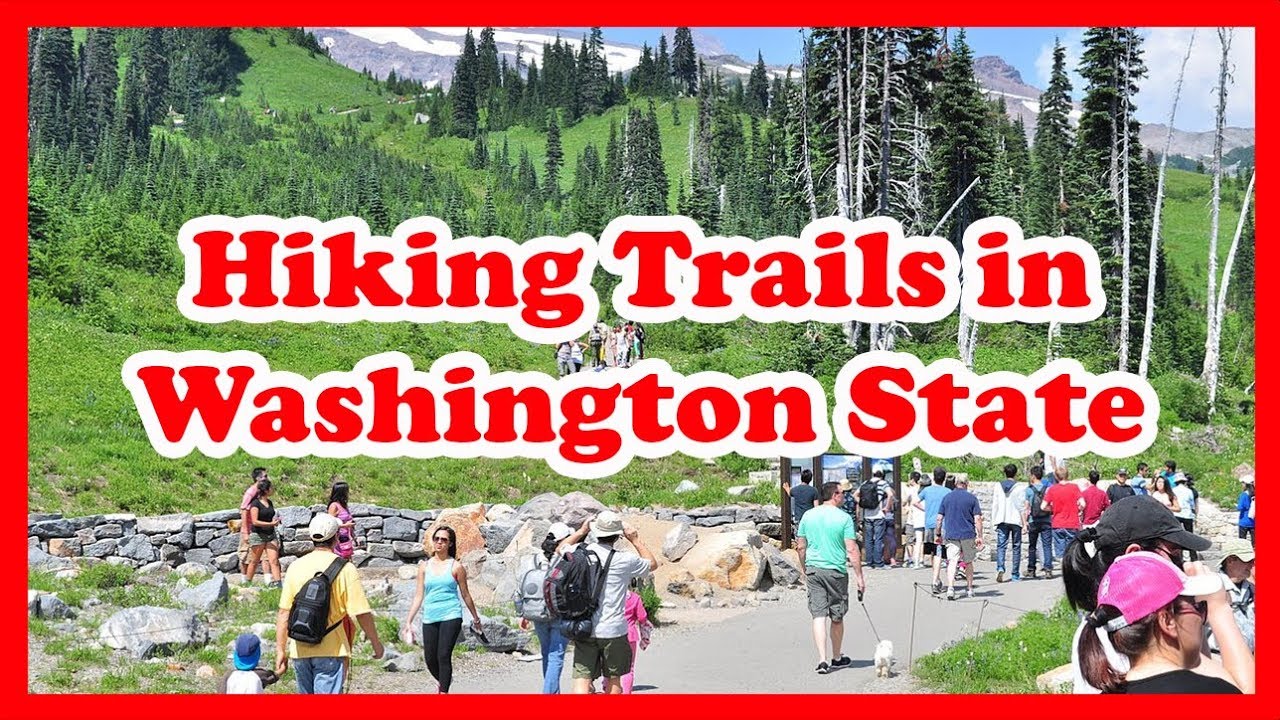 5 Top-Rated Hiking Trails in Washington State | US Hikes Guide - YouTube