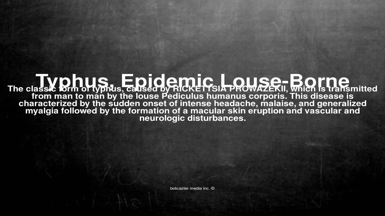 Medical Vocabulary What Does Typhus Epidemic Louse Borne Mean YouTube medical-vocabulary-what-does-typhus-epidemic-louse-borne-mean-youtube
