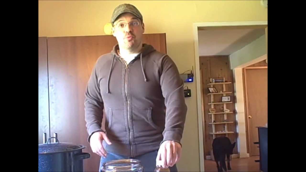 Grow Your Own Kombucha Scoby - Easy - YouTube