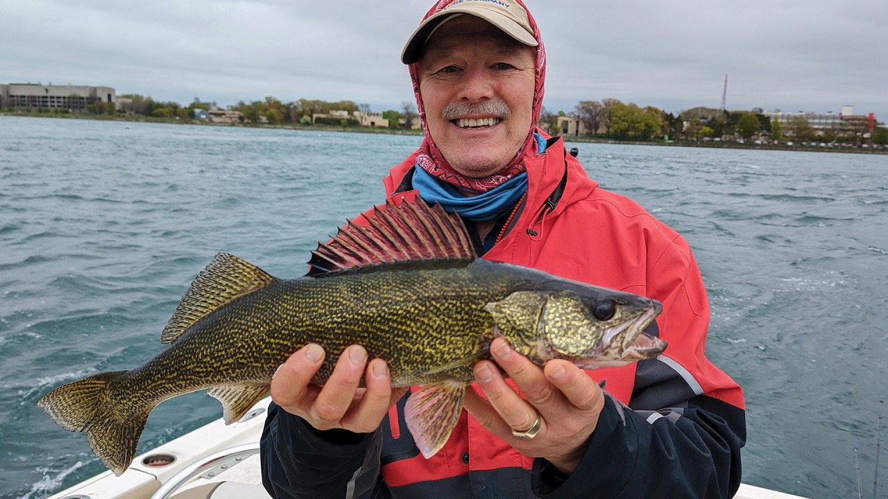Big Walleye - jigging for walleye - YouTube