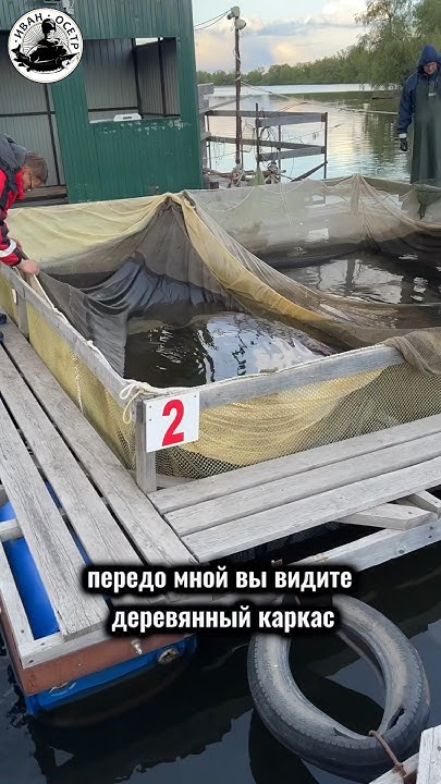 Что такое садок для выращивания рыбы? #иваносетр - YouTube